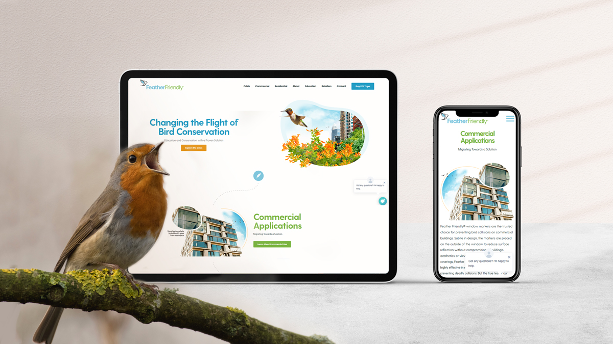 Feather Friendly Case Study - Niagara's Web Design & Growth Marketing ...